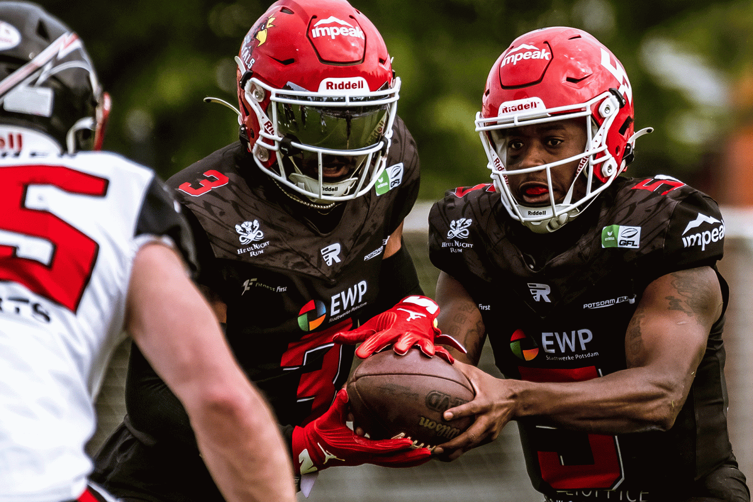 Paderborn Dolphins - Erima GFL