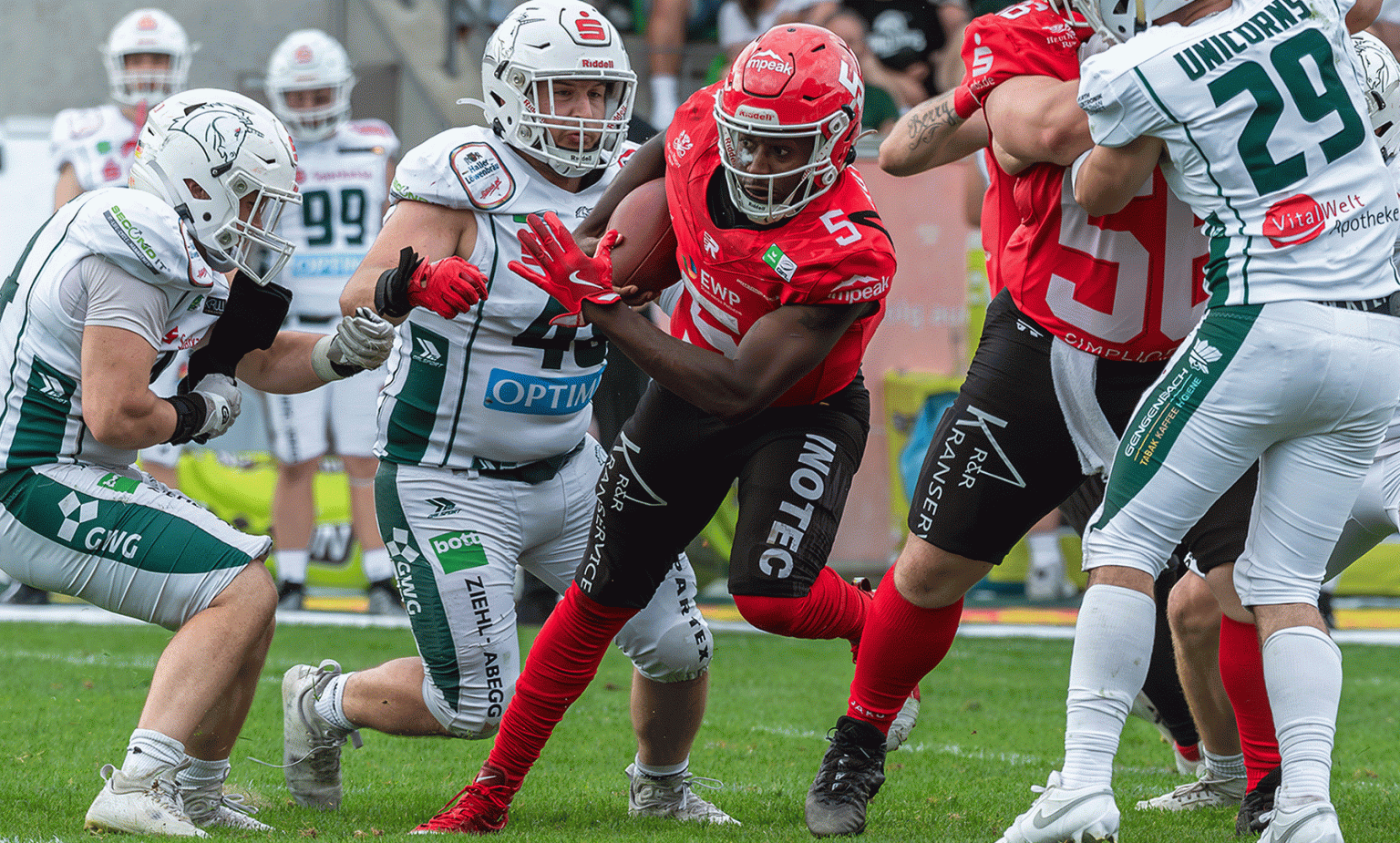 Potsdam Royals - Erima GFL