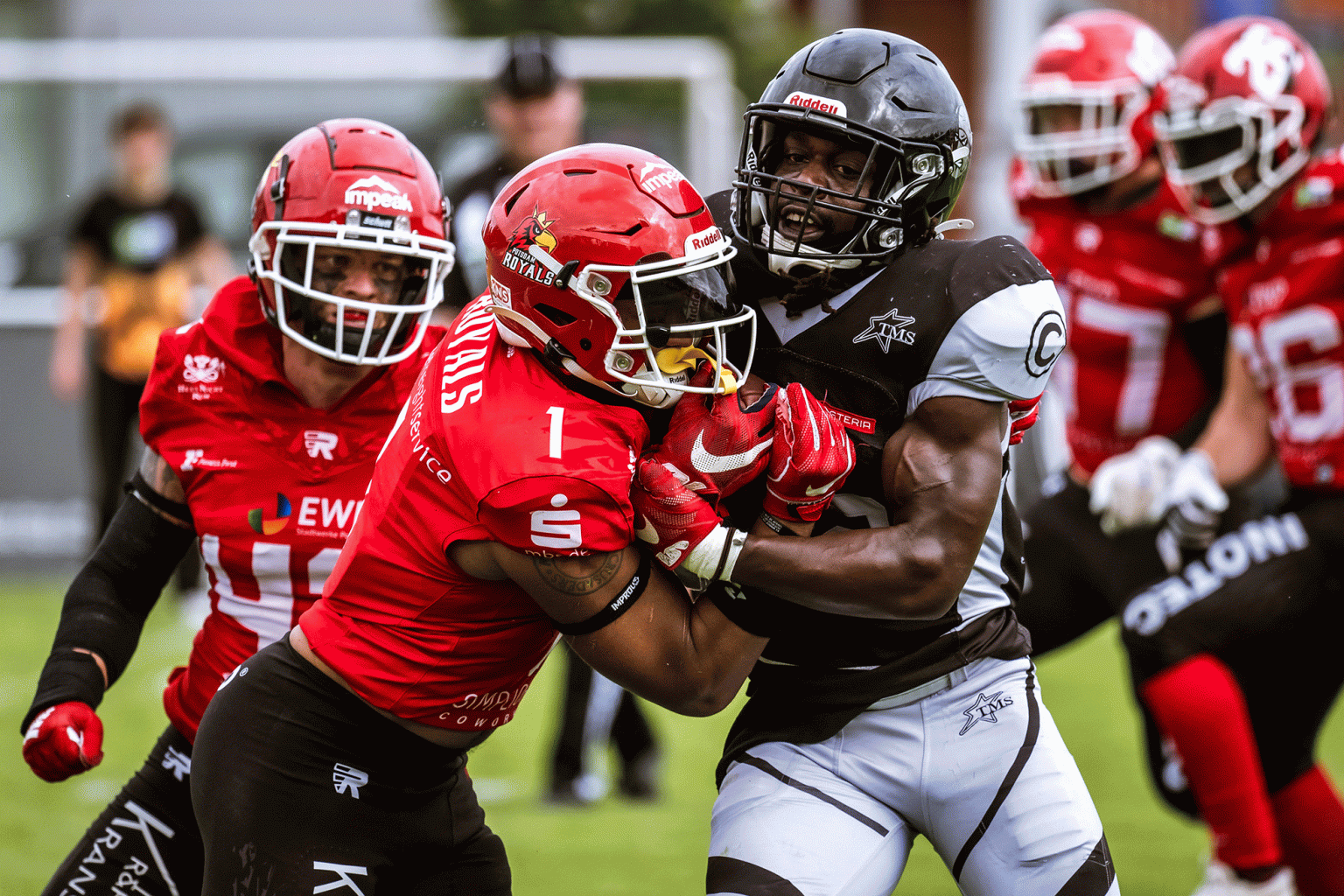 Potsdam Royals - Erima GFL